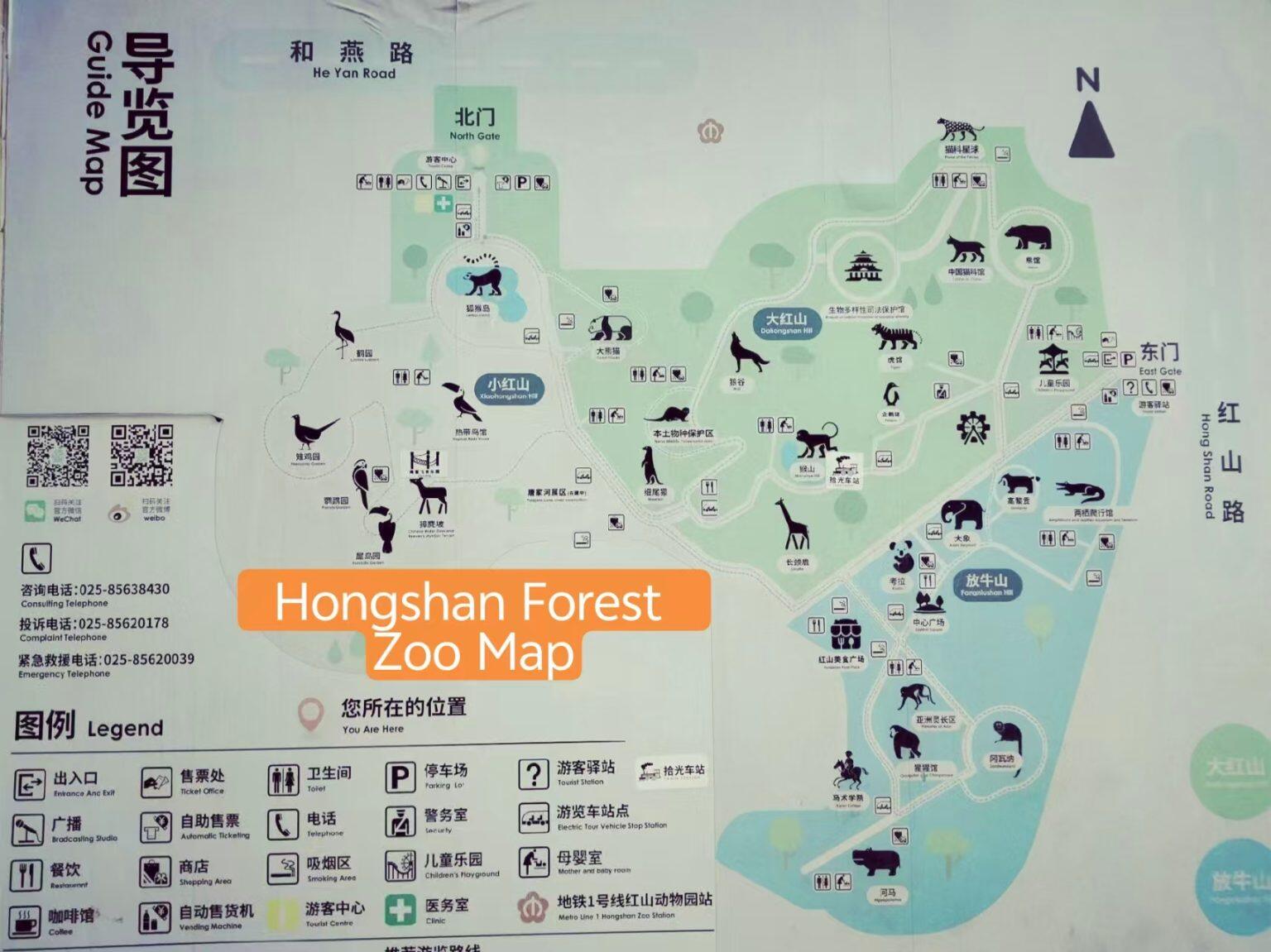 Nanjing Hongshan Forest Zoo 2026 | Ultimate Animal Paradise Guide ...